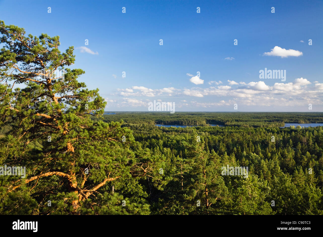 View from Aboda Tower over forests and lakes, Aboda Klint, Smaland ...
