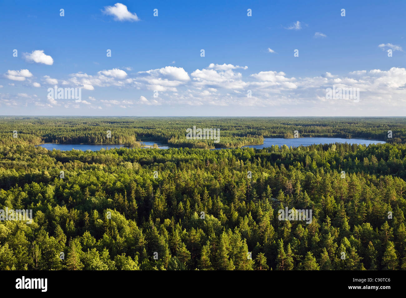 View from Aboda Tower over forests and lakes, Aboda Klint, Smaland ...