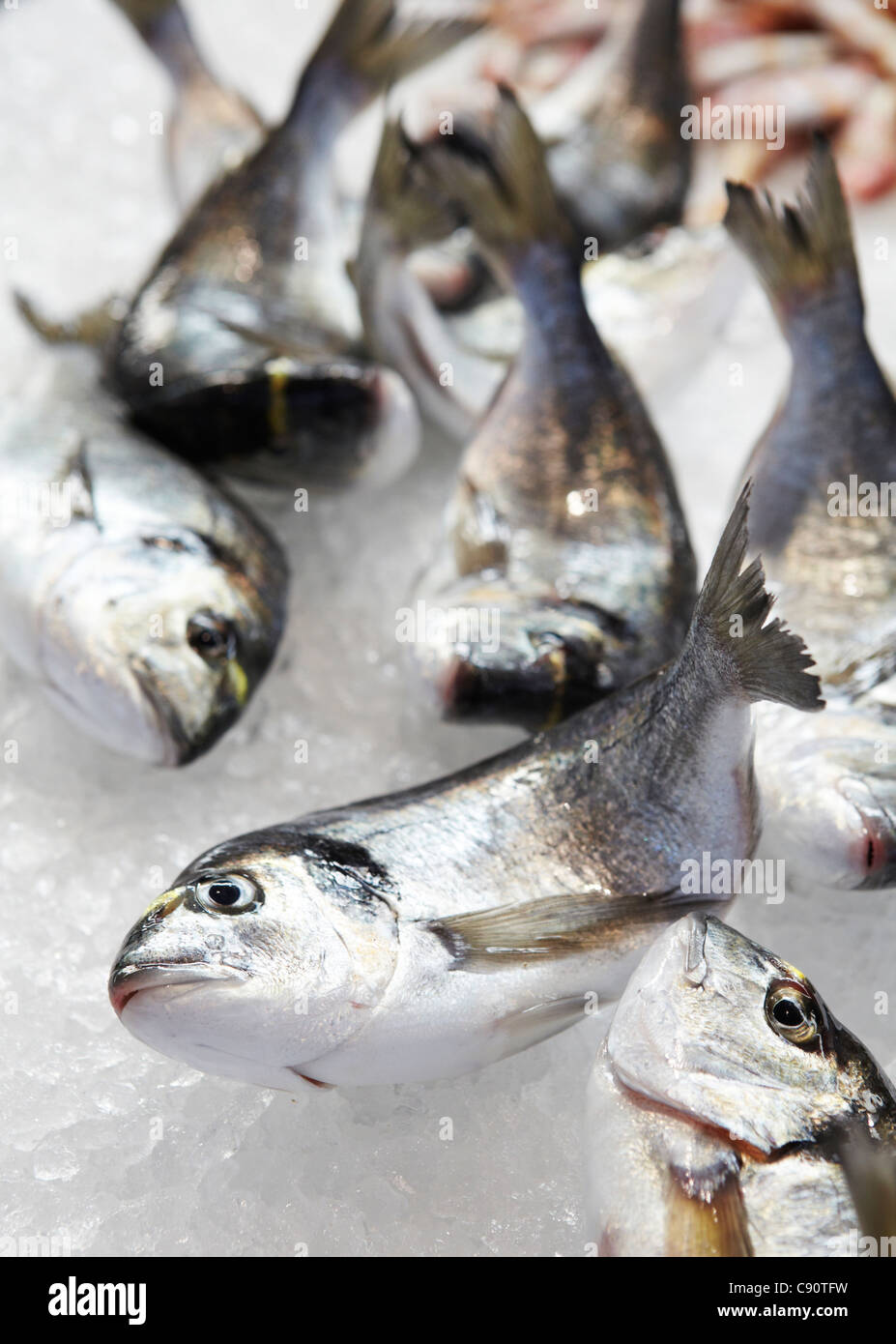Fresh fish on ice at market Stock Photo - Alamy