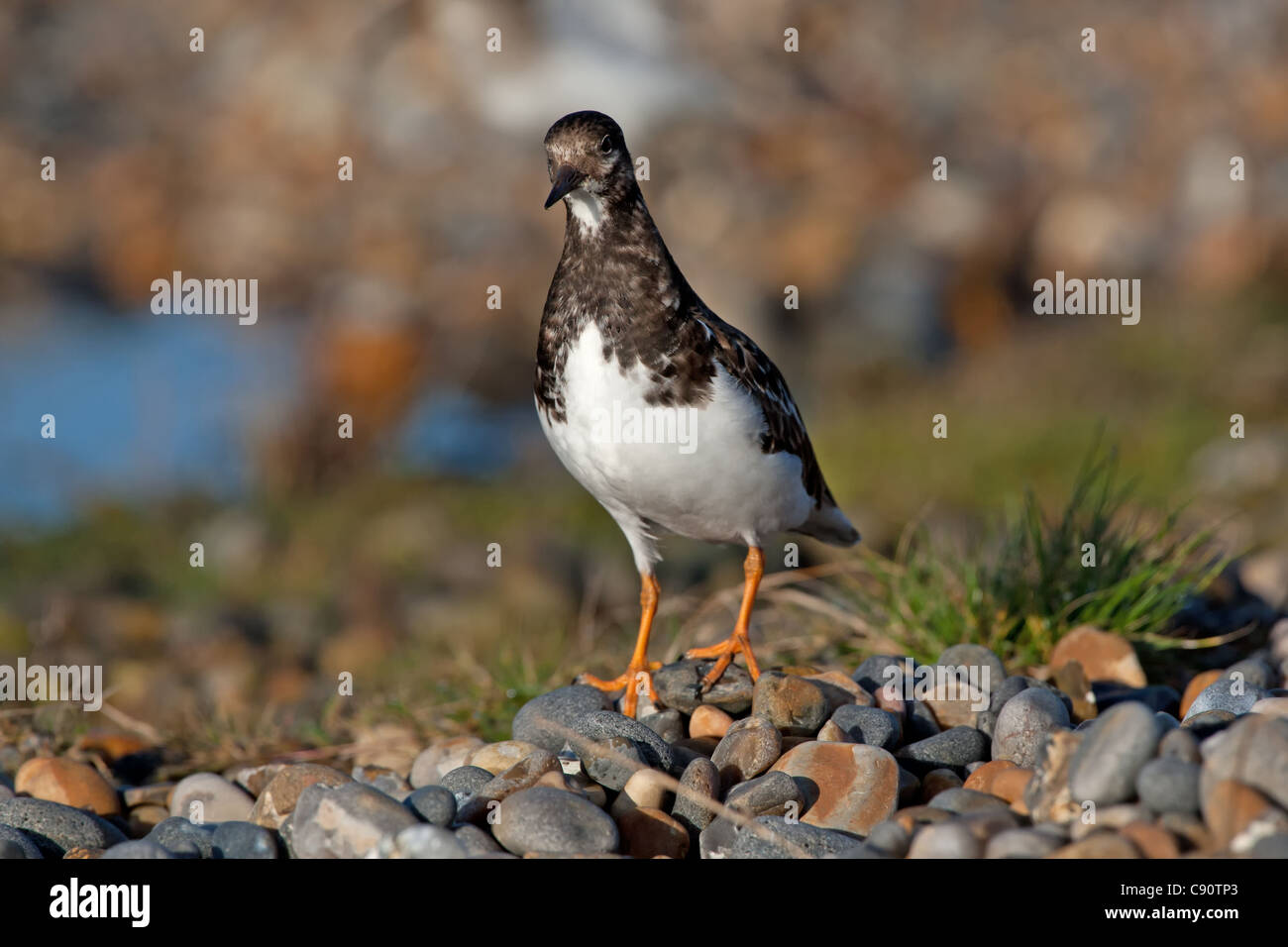 Salthouse point hi-res stock photography and images - Alamy