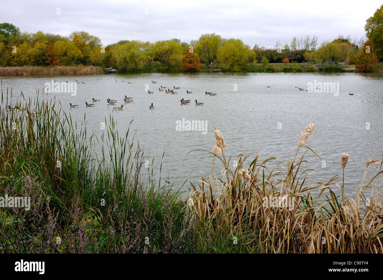 Basildon park hi-res stock photography and images - Alamy