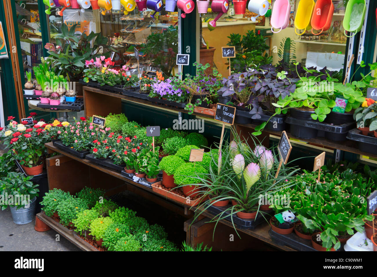 Flower market, Ile de la Cite, Paris, France Stock Photo - Alamy