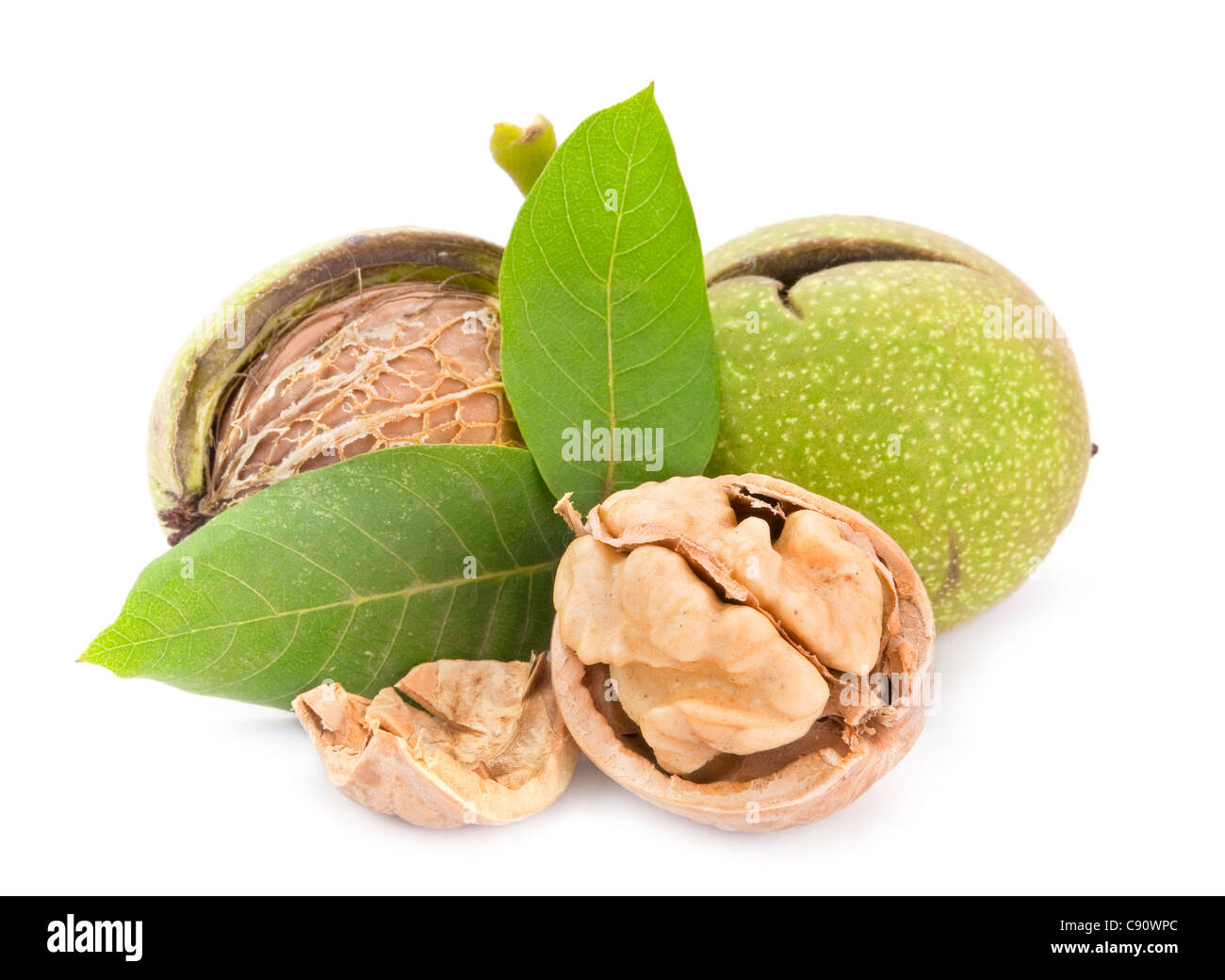 Walnut nut closeup on white background Stock Photo - Alamy