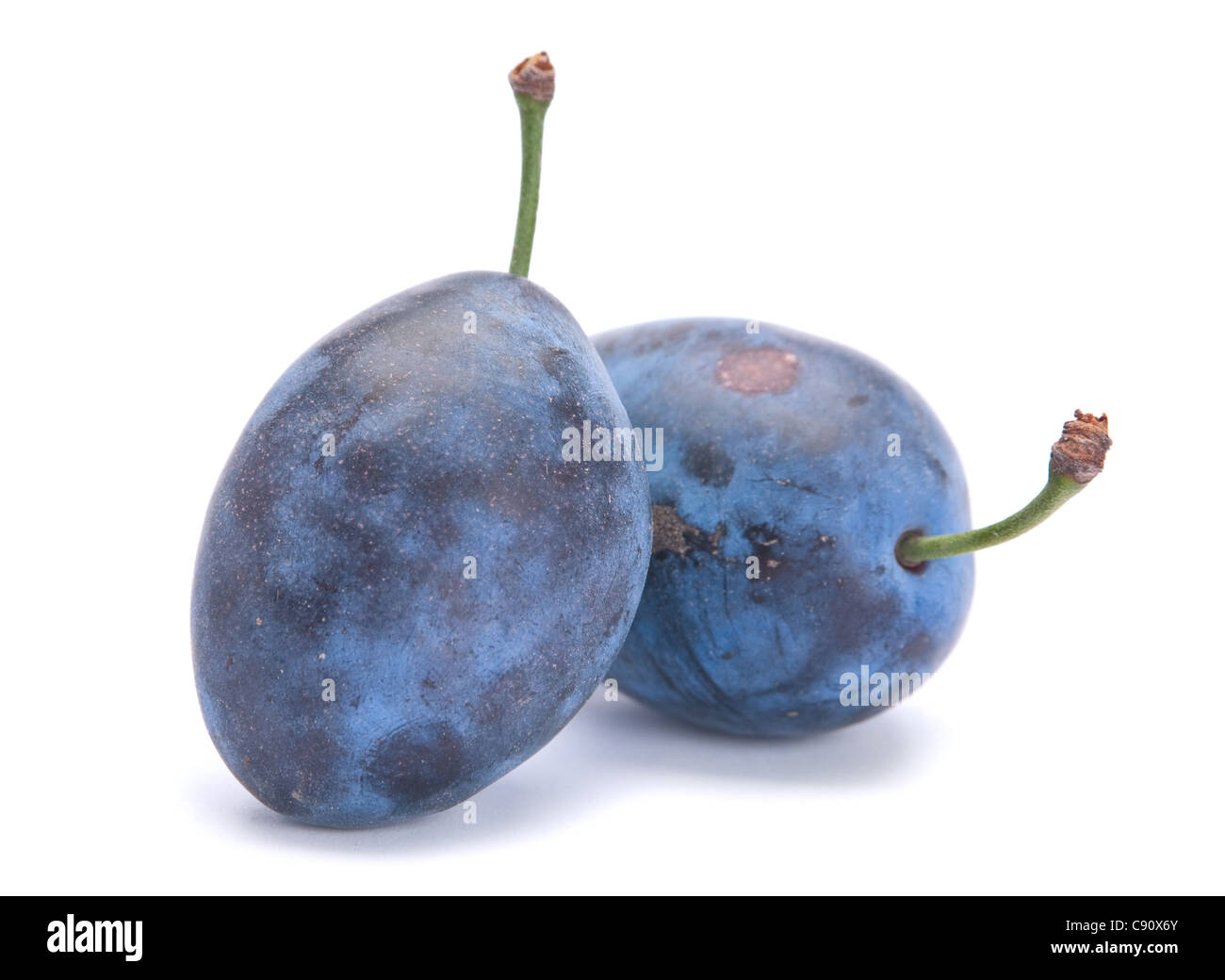 Blue ripe plum fruit closeup isolated on white Stock Photo - Alamy