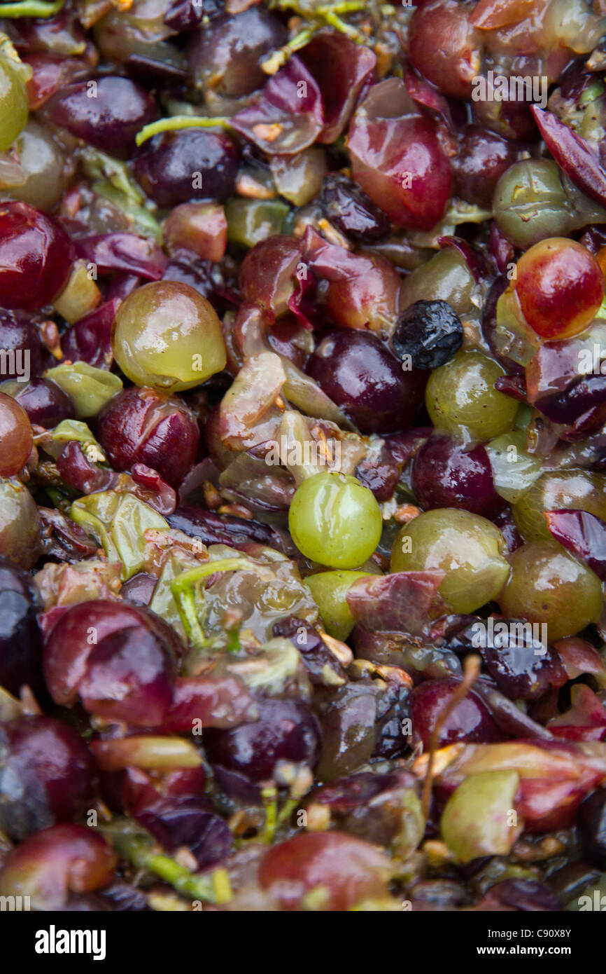 pressed grape detail Stock Photo - Alamy