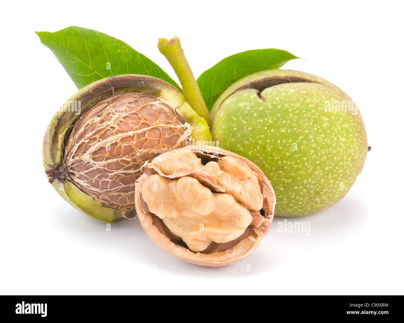 Walnut nut closeup on white background Stock Photo - Alamy