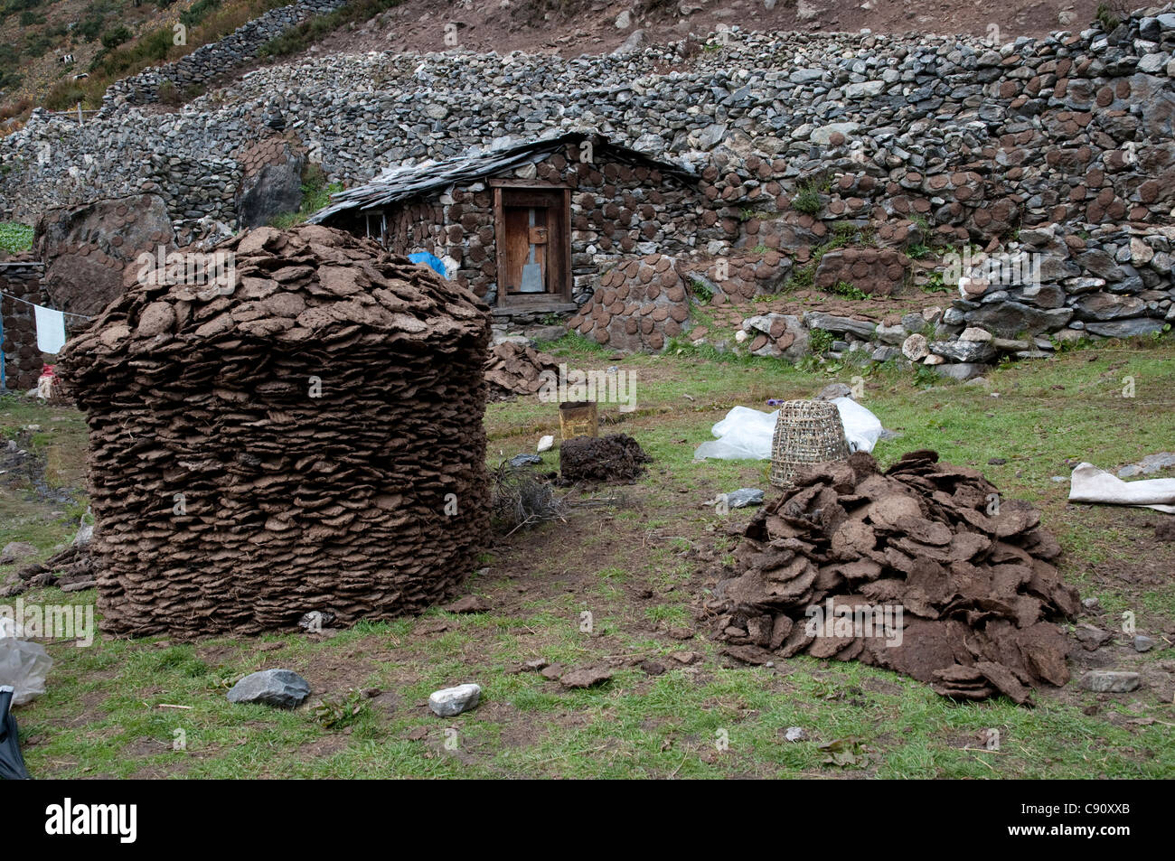 Yak dung is dried and used as fuel throughout the mountain regions ...