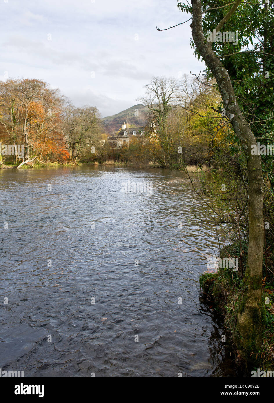 The River Brathay in the Lake District Stock Photo - Alamy