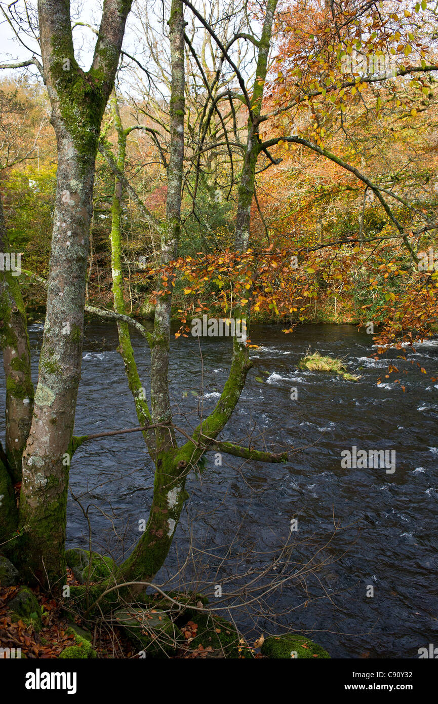 The River Brathay in the Lake District Stock Photo - Alamy