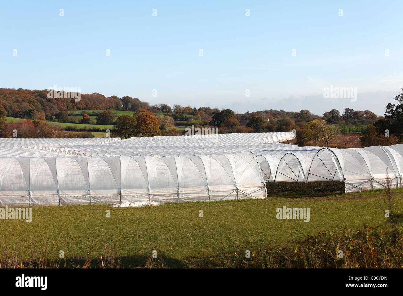 Polytunnels fields hi-res stock photography and images - Alamy