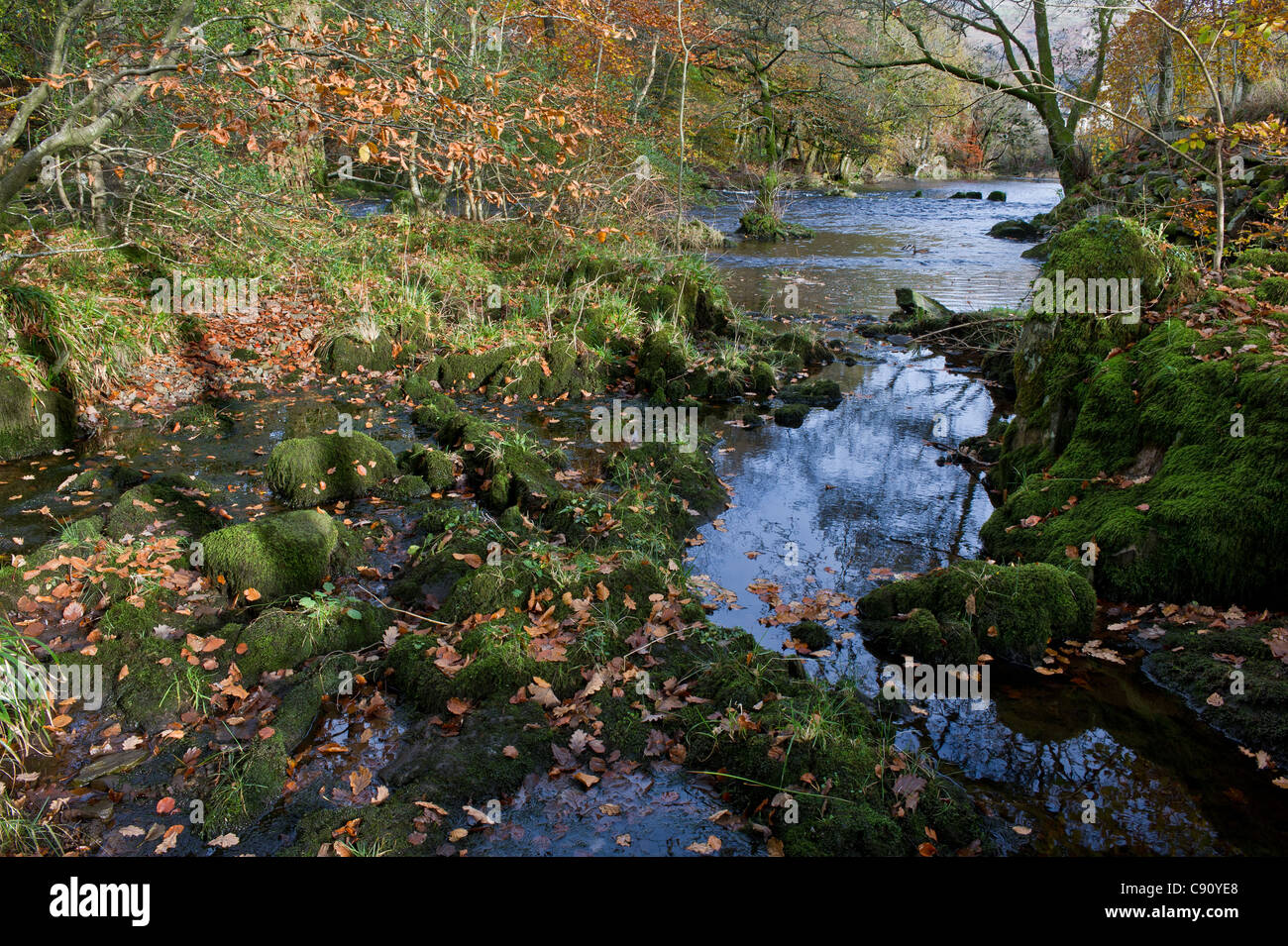 The River Brathay in the Lake District Stock Photo - Alamy