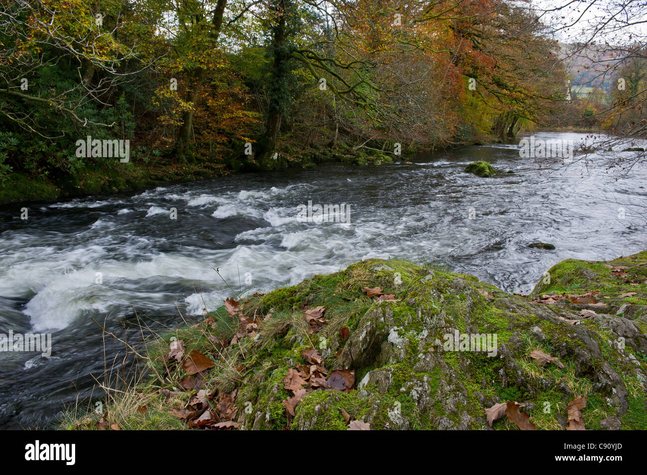 The River Brathay in the Lake District Stock Photo - Alamy