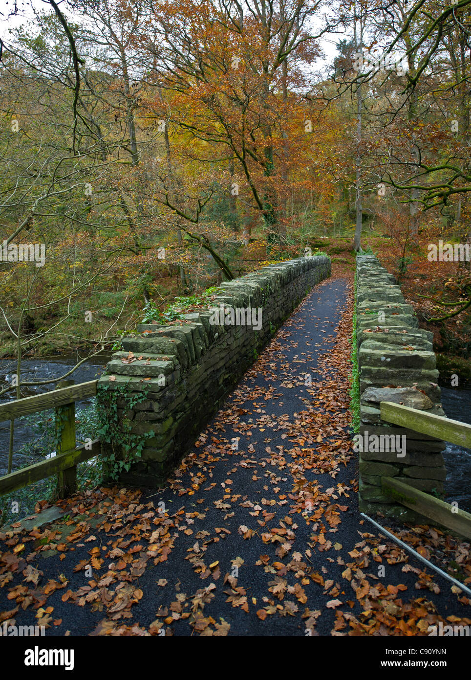 A bridge over the River Brathay in the Lake District Stock Photo - Alamy
