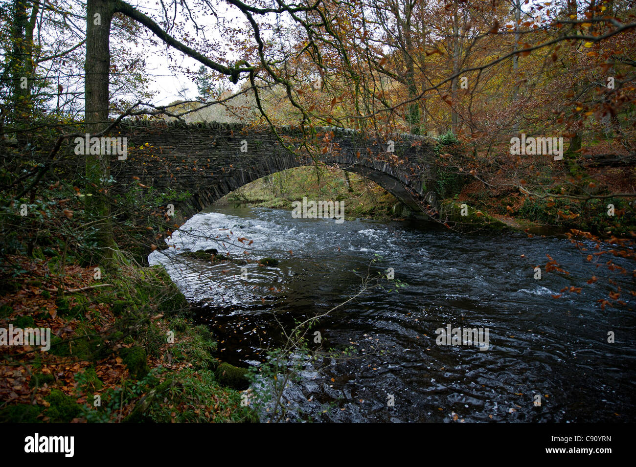The River Brathay in the Lake District Stock Photo - Alamy