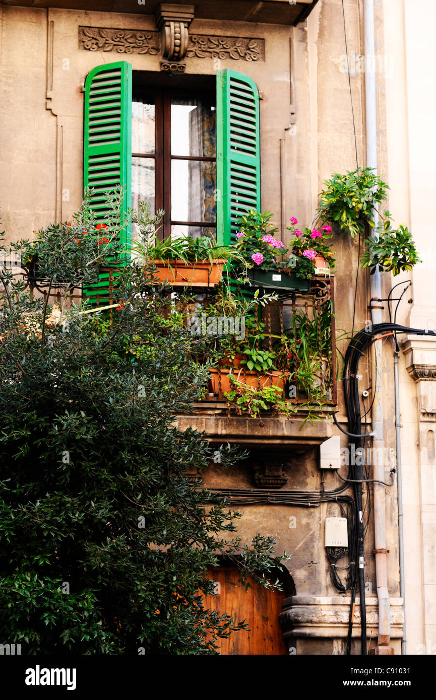 An ornate Spanish shuttered window in Palma, Mallorca Stock Photo - Alamy