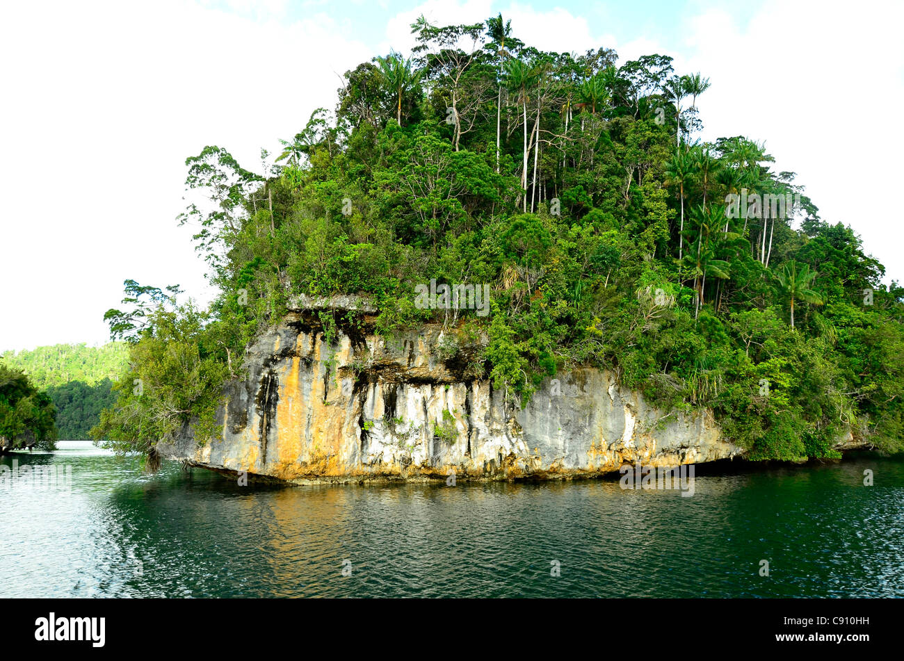 Raja Ampat islands near West Papua, Indonesia in the coral triangle ...