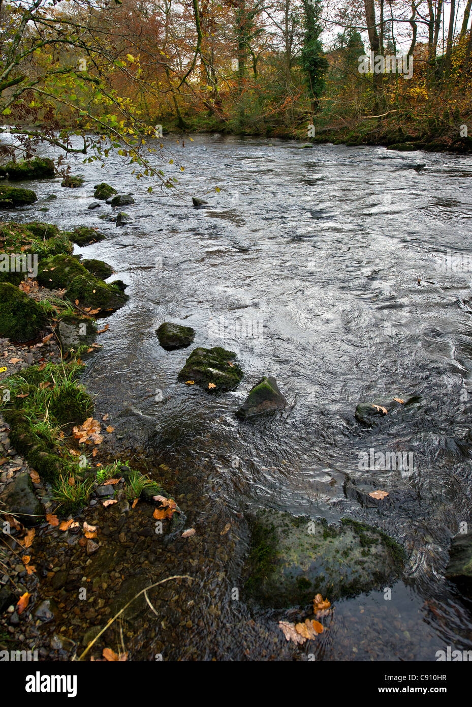 The River Brathay in the Lake District Stock Photo - Alamy