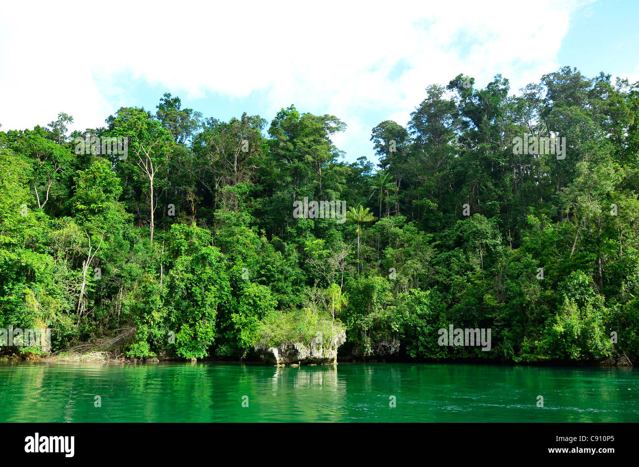 The Passage, Raja Ampat islands near West Papua, Indonesia in the coral ...