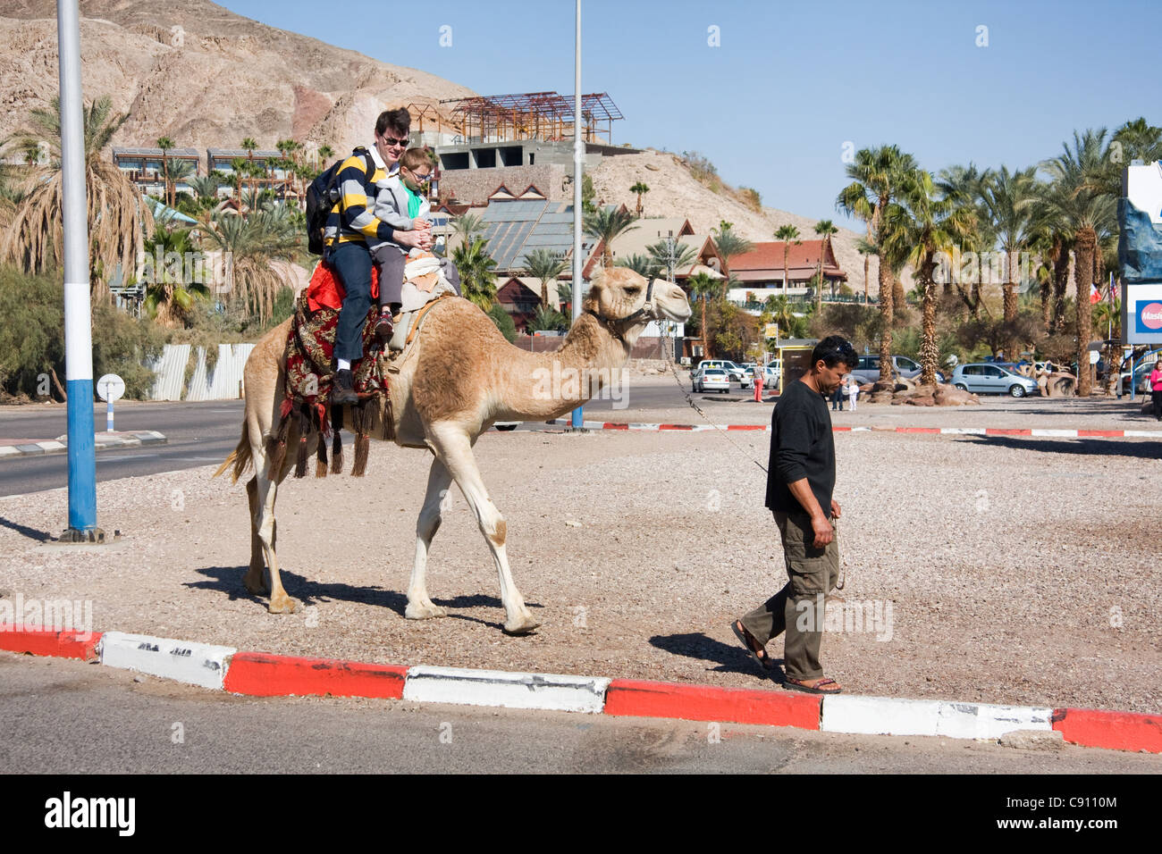 Camel riding israel hi-res stock photography and images - Alamy