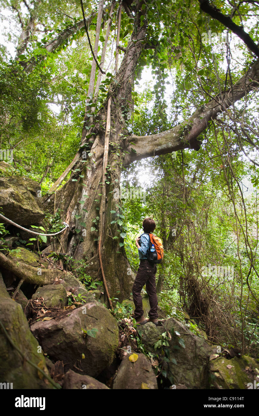 Oranjestad, Sint Eustatius Island, Dutch Caribbean. The Quill National ...