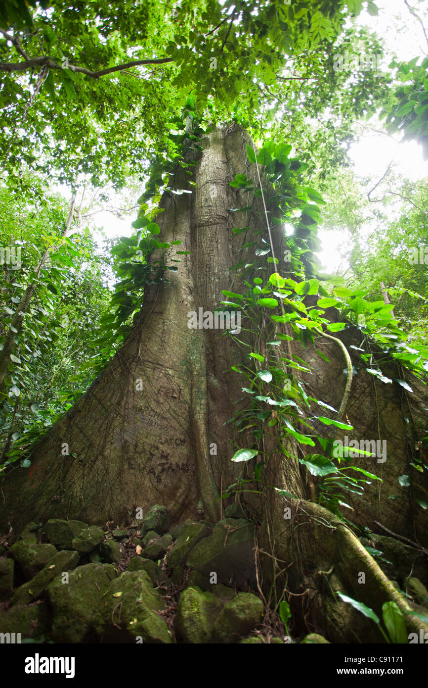 The Netherlands, Oranjestad, Sint Eustatius Island, Dutch Caribbean ...
