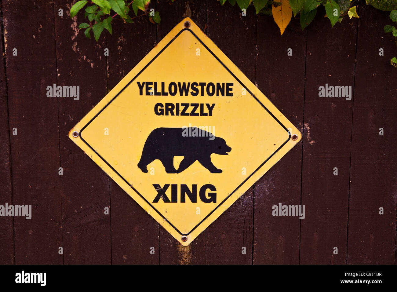 Grizzly Bear Warning Notice High Resolution Stock Photography and ...