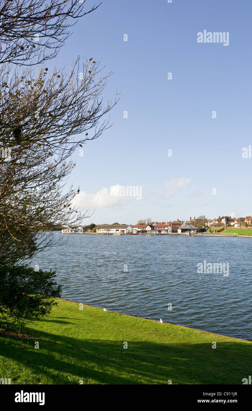 Buildings and trees hi-res stock photography and images - Alamy