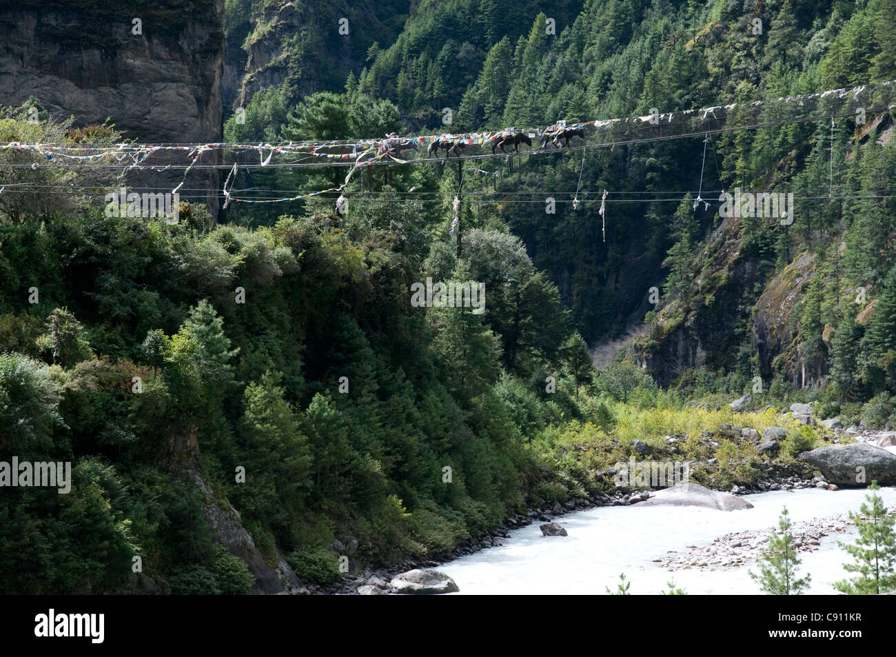 There are long narrow rudimentary rope bridges across the gorges and ...