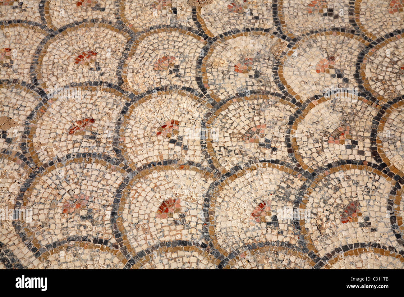 Caesaria is a modern town on the outskirts of Caesarea Maritima the ...