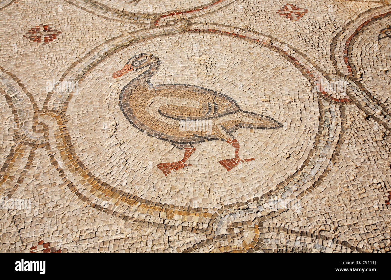 Caesaria is a modern town on the outskirts of Caesarea Maritima the ...
