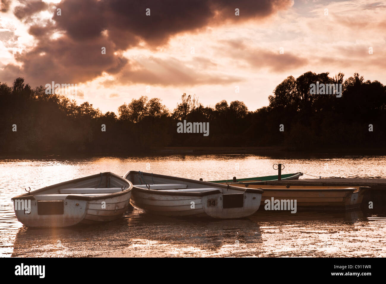 An autumn sunset over the lake at Colwick Country Park, Nottingham ...