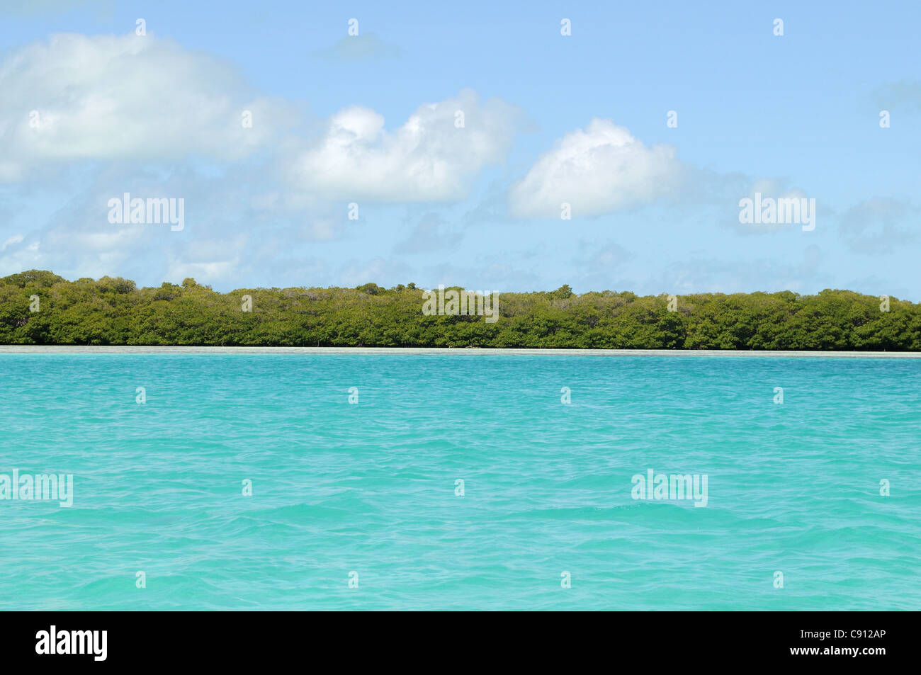 The Reserve of Cayo Grande is in Los Roques national park on the coast ...