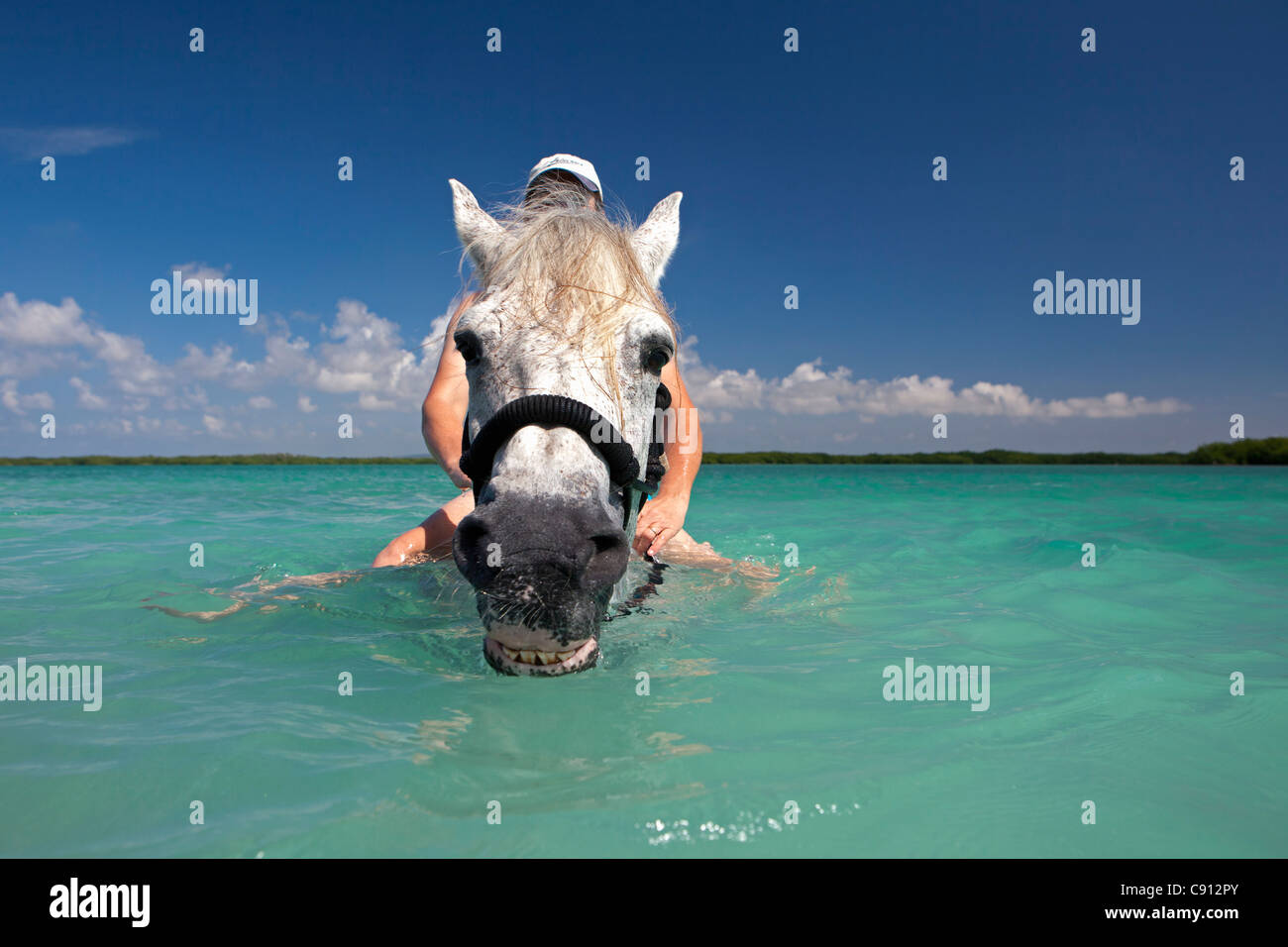 The Netherlands, Bonaire Island, Dutch Caribbean, Kralendijk, Lac Bay ...