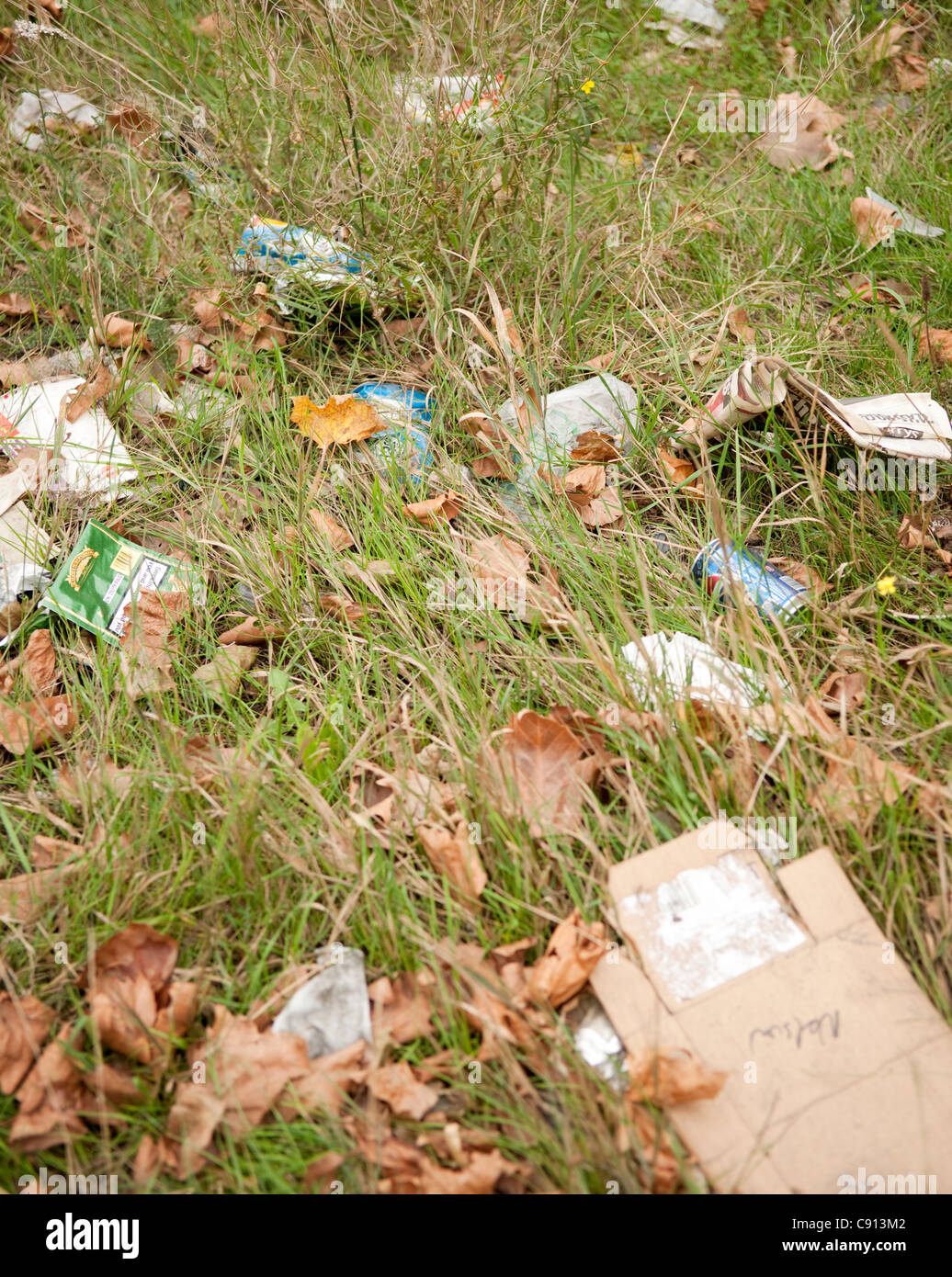 Environmental Problems Photography