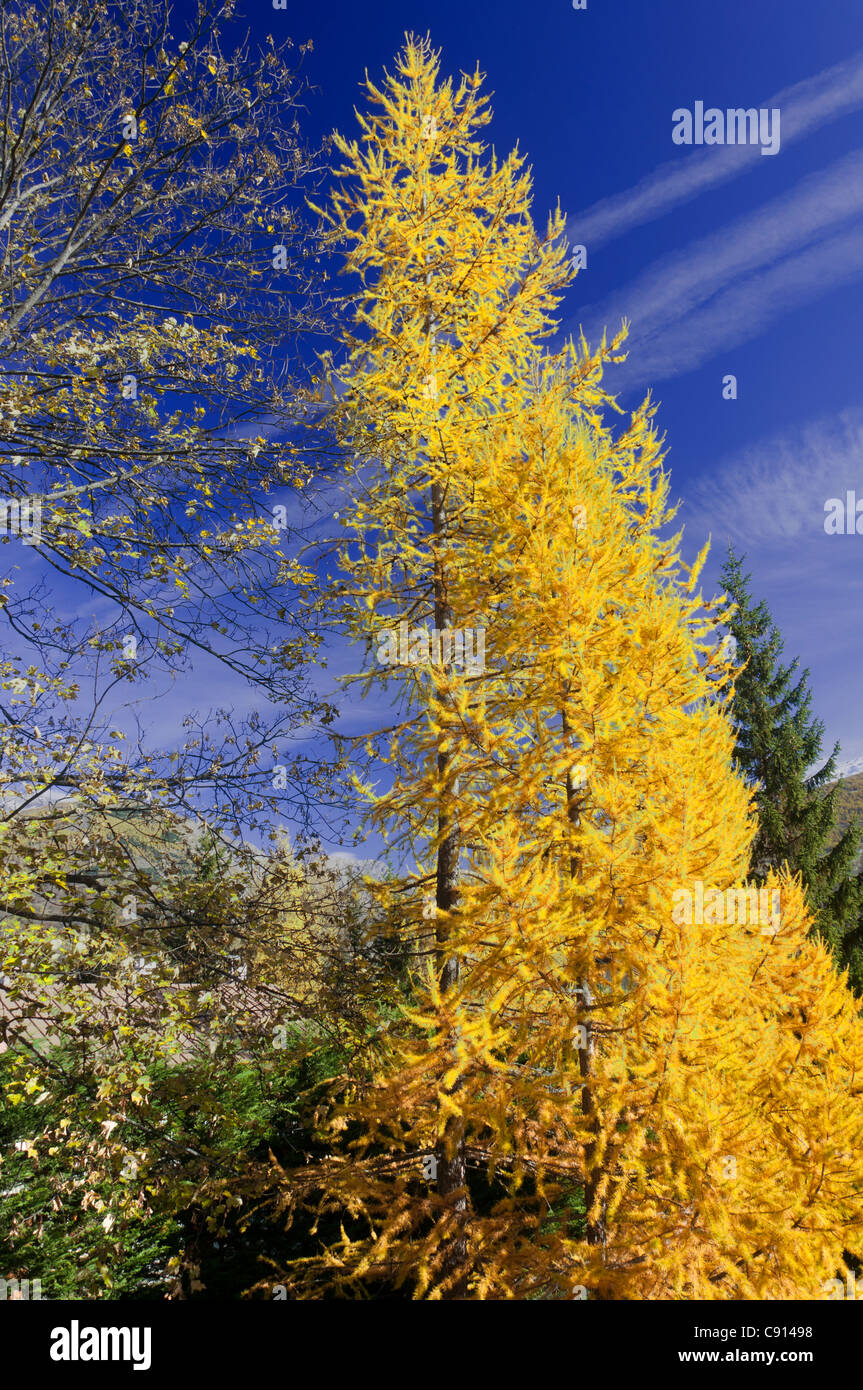 Colors in contrast hi-res stock photography and images - Alamy