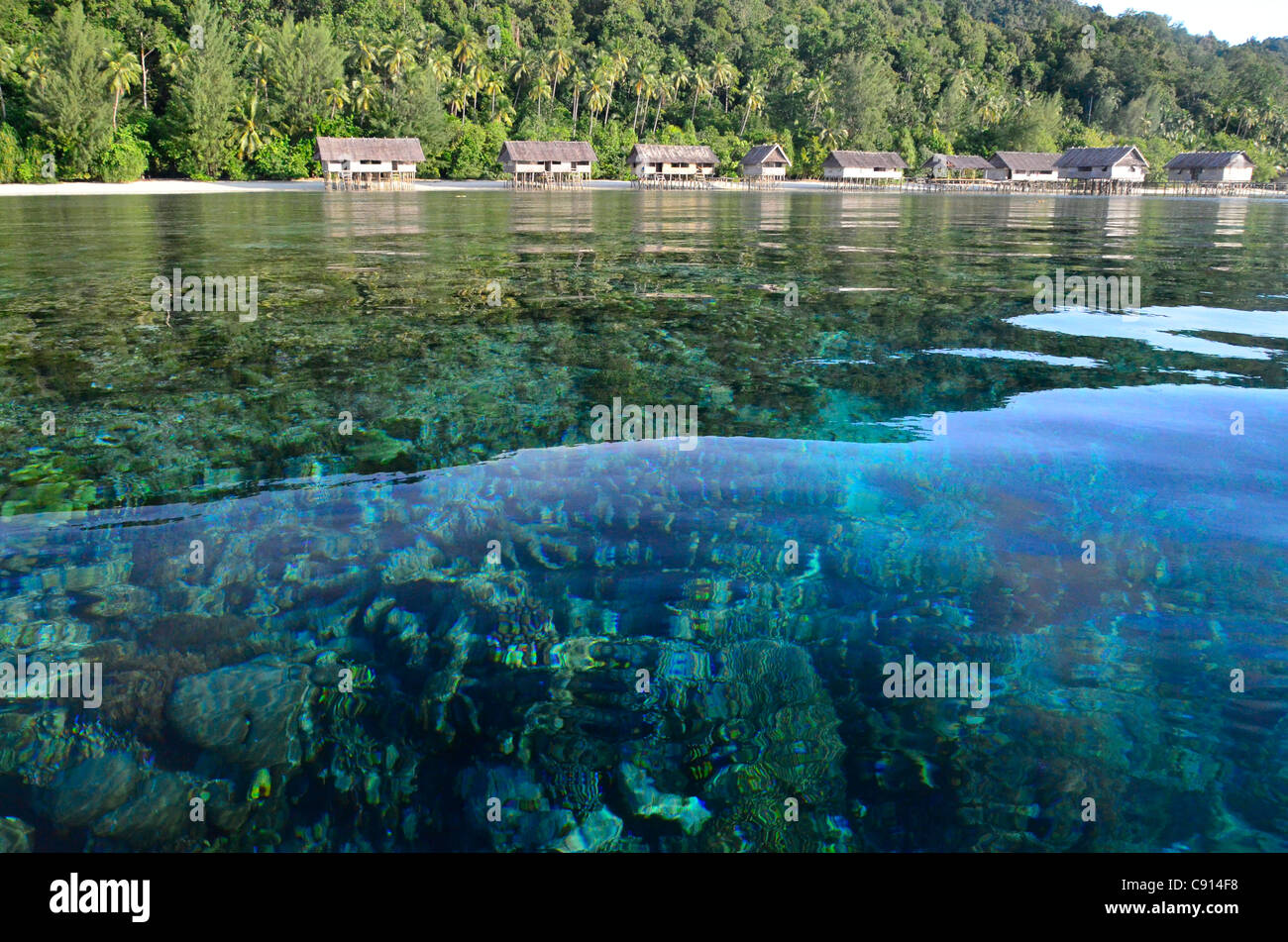 Coral reef in crystal clear water at Kri Eco Resort, Raja Ampat islands ...
