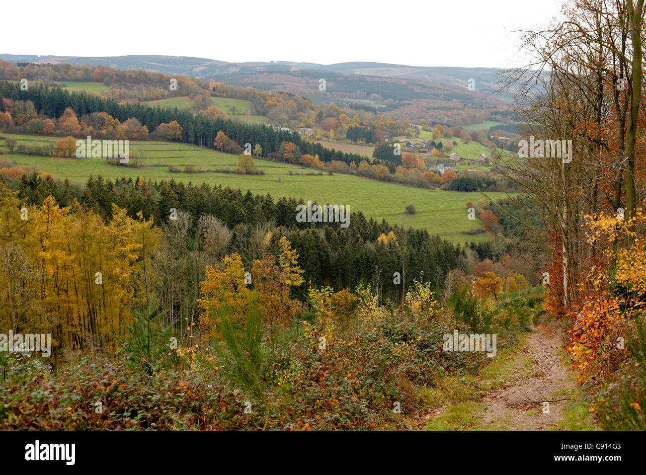 Belgium ardennes autumn hi-res stock photography and images - Alamy