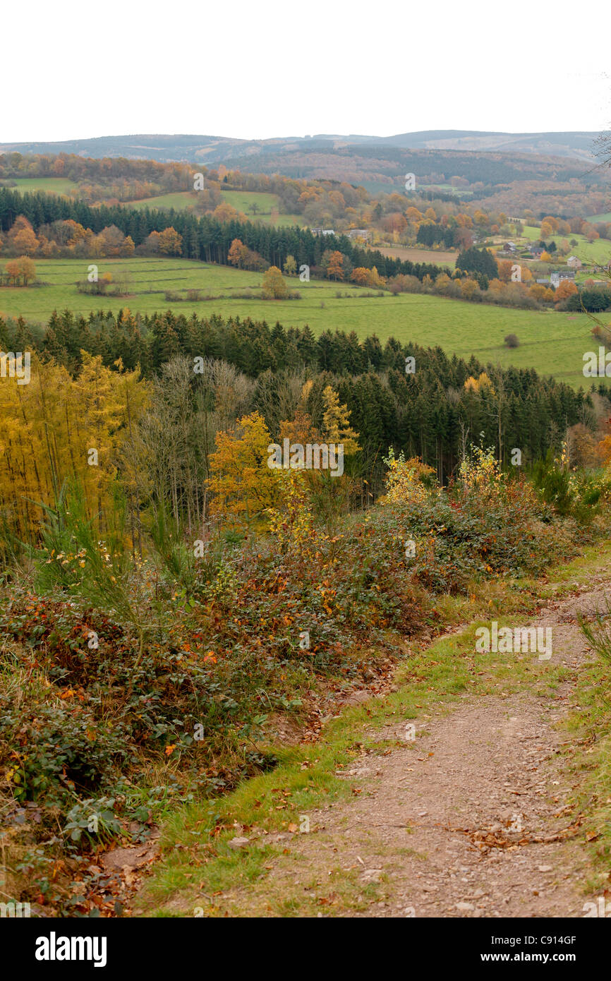 Ardennes forest road hi-res stock photography and images - Alamy