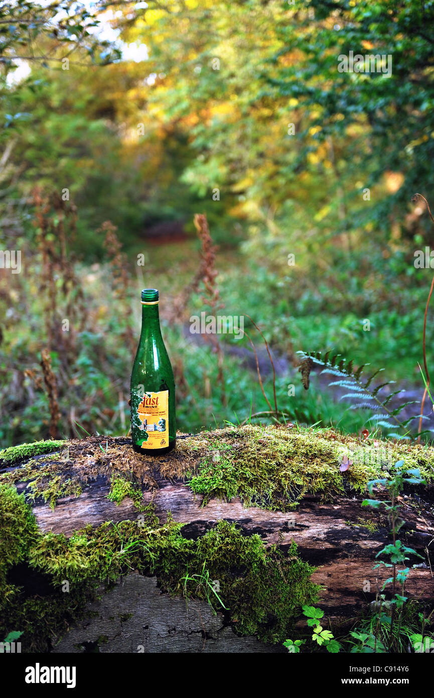 Buckfast hi-res stock photography and images - Alamy