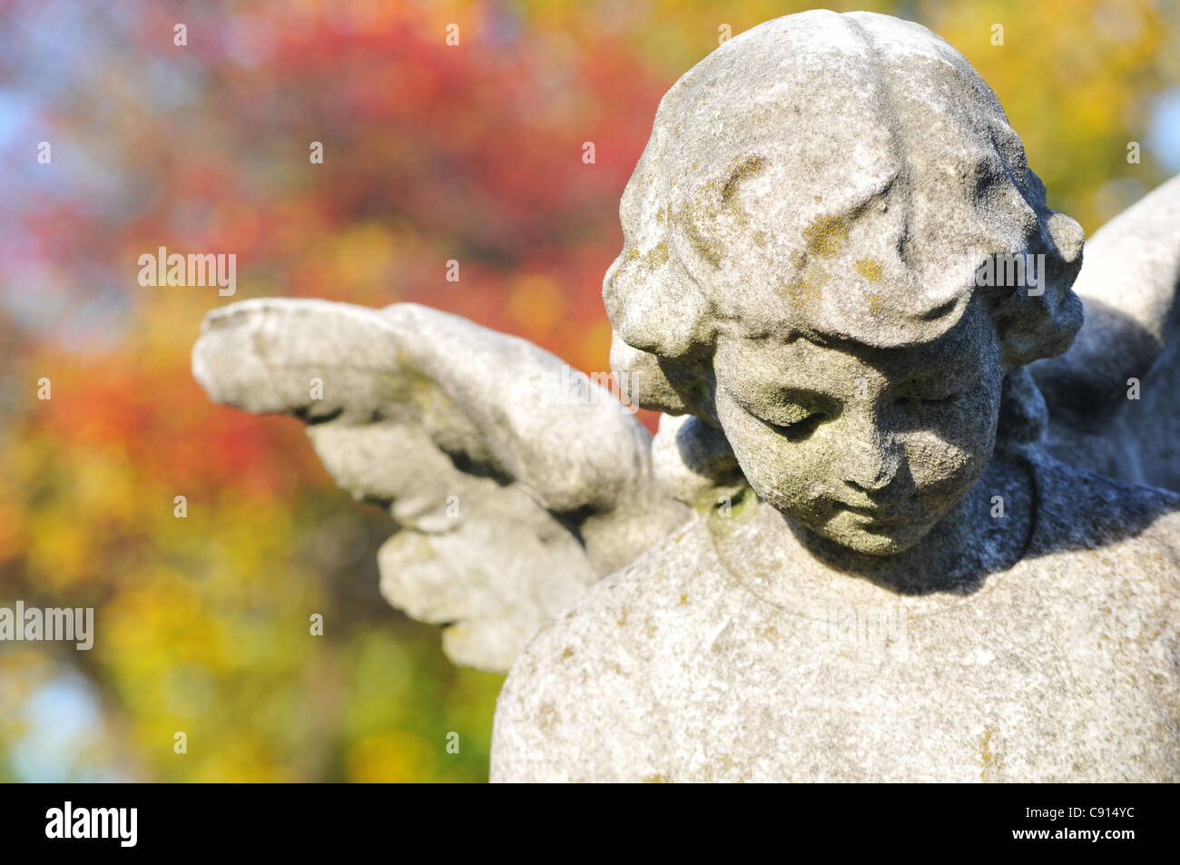 Portrait pray prayer praying religion religious sculpture wings wing hi ...