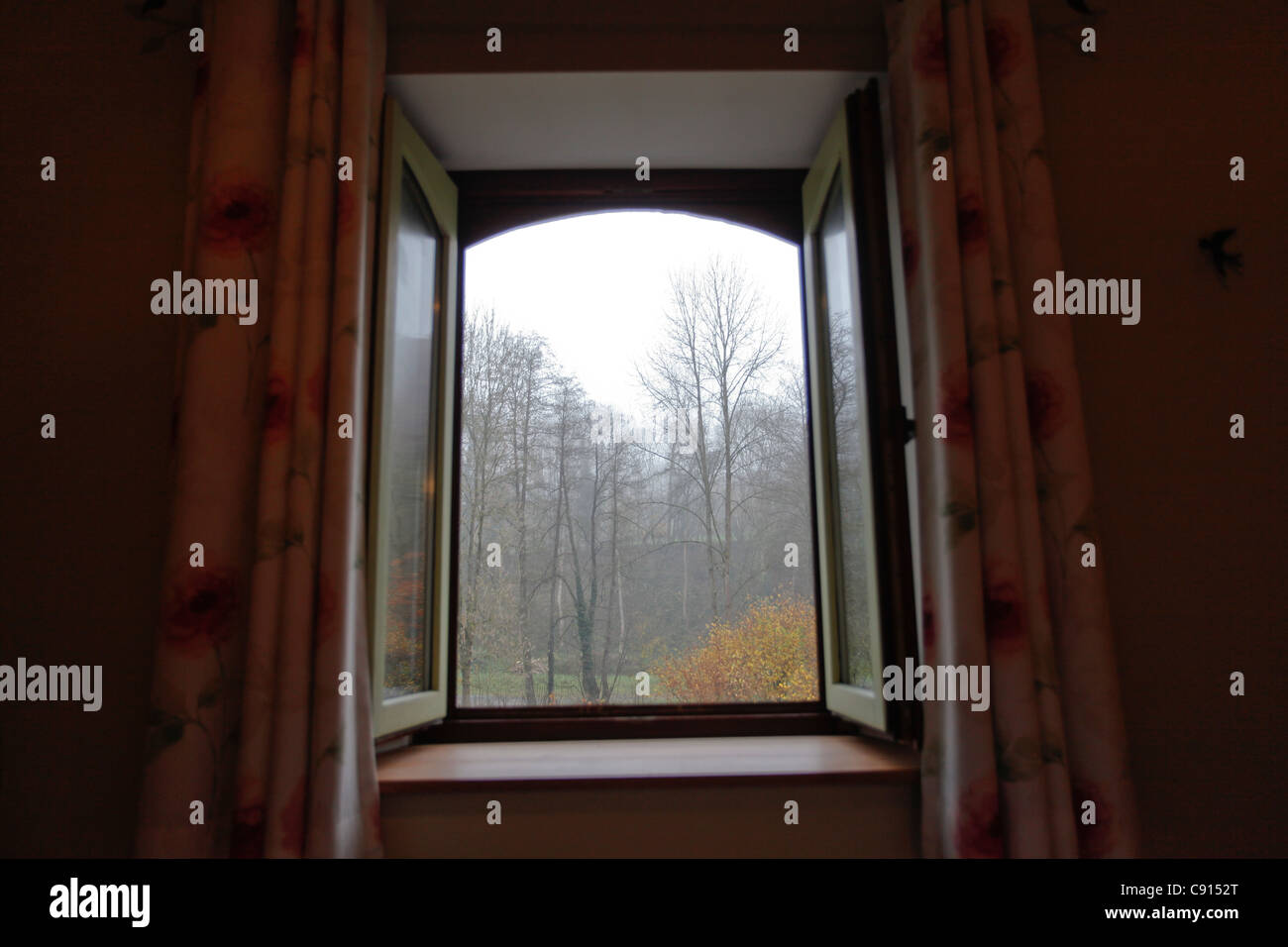 View of the forest through a window, at Les Ardennes Stock Photo - Alamy