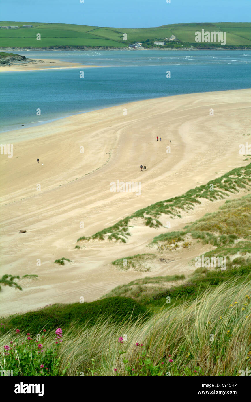 The beach at Rock in Cornwall is an estuary beach bordering the River ...