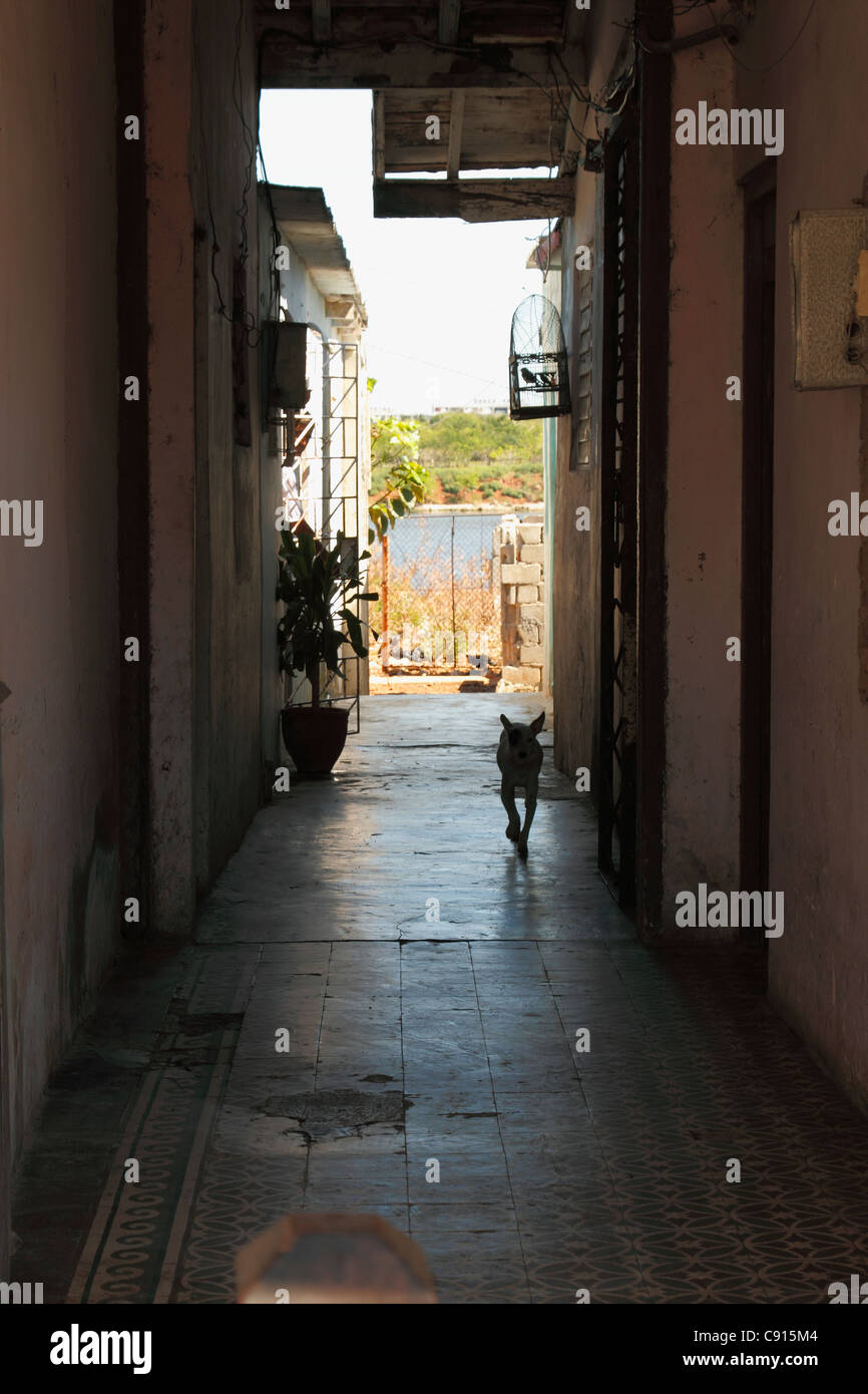 Walking passage hi-res stock photography and images - Alamy