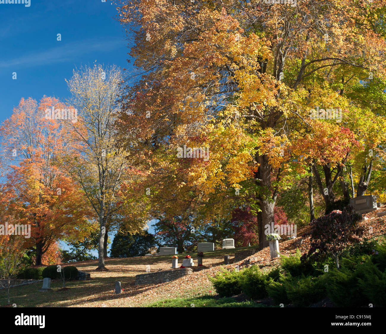 Waynesville hi-res stock photography and images - Alamy