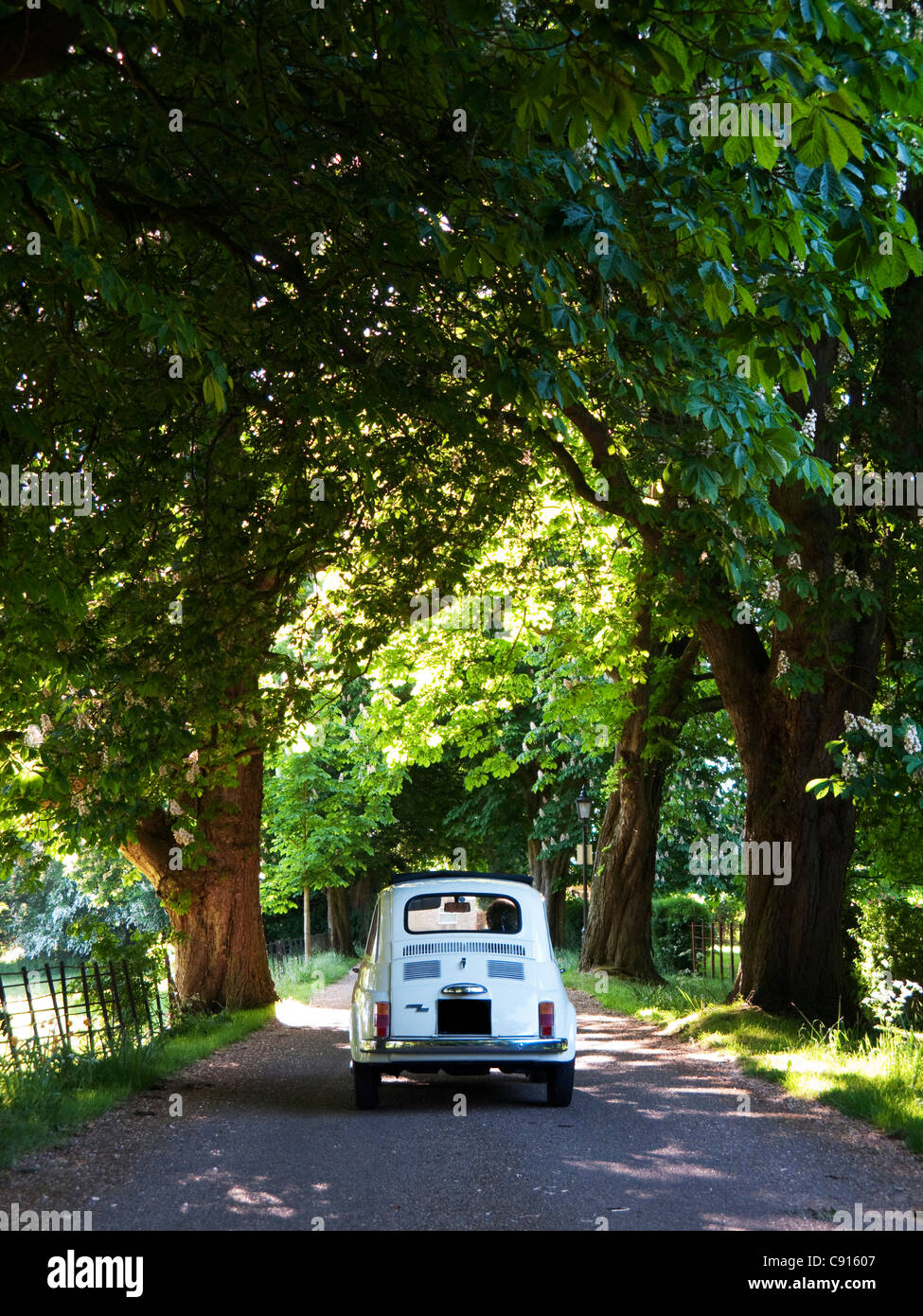 The Fiat 500 Cinquecento is a design classic and a small Italian car of ...