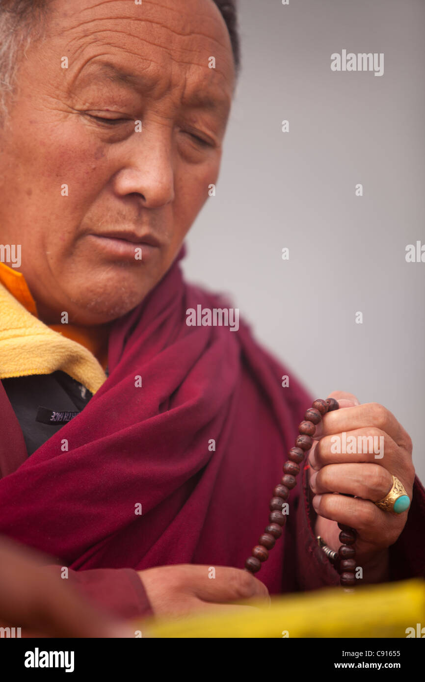 Buddhist priest performing traditional ceremony, Sagarmatha National ...