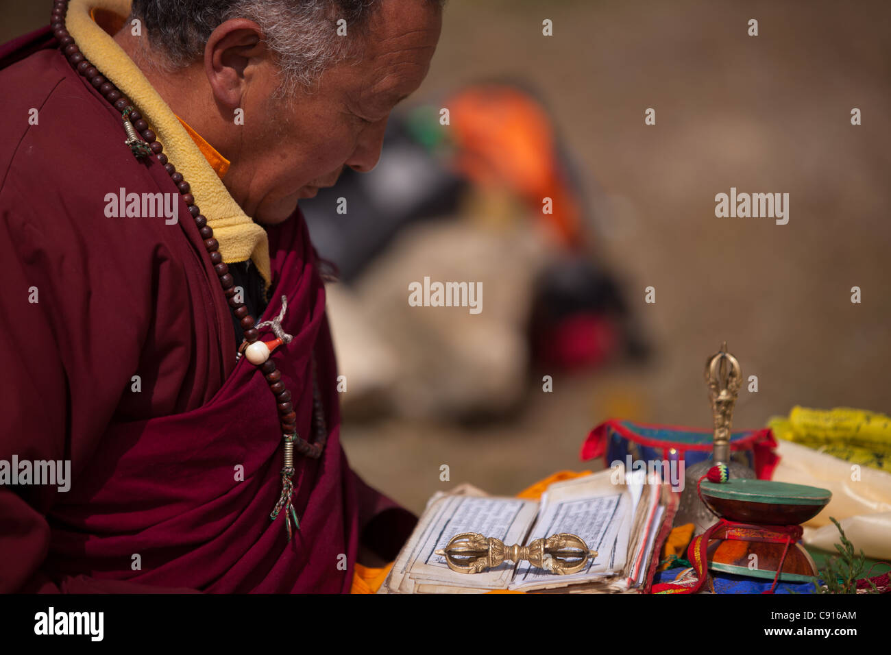 Buddhist priest reading from scrolls in traditional ceremony ...