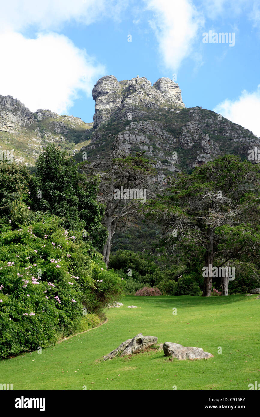 Kirstenbosch gardens hi-res stock photography and images - Alamy