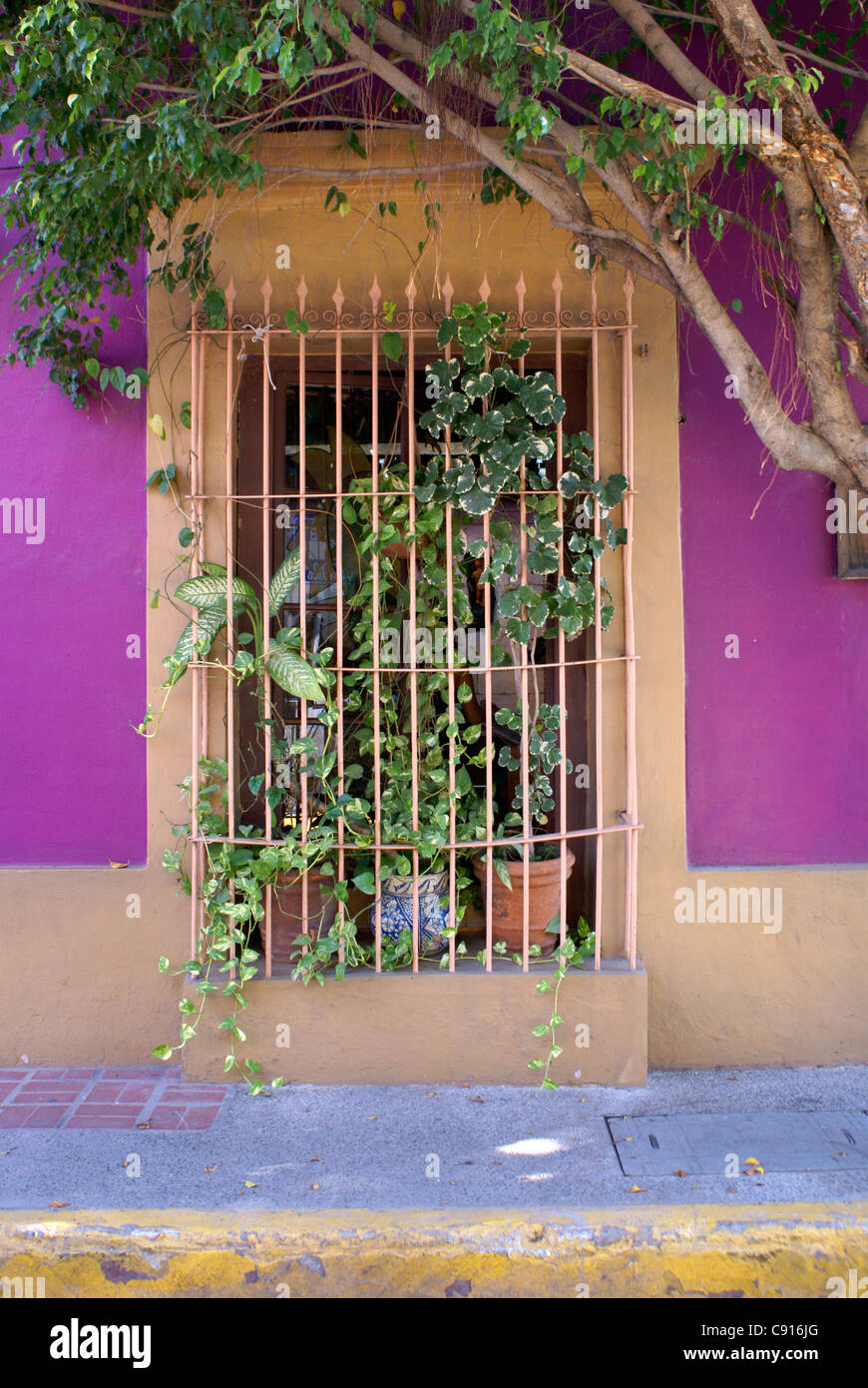 Colorful barred window of a restored nineteenth century house in old ...