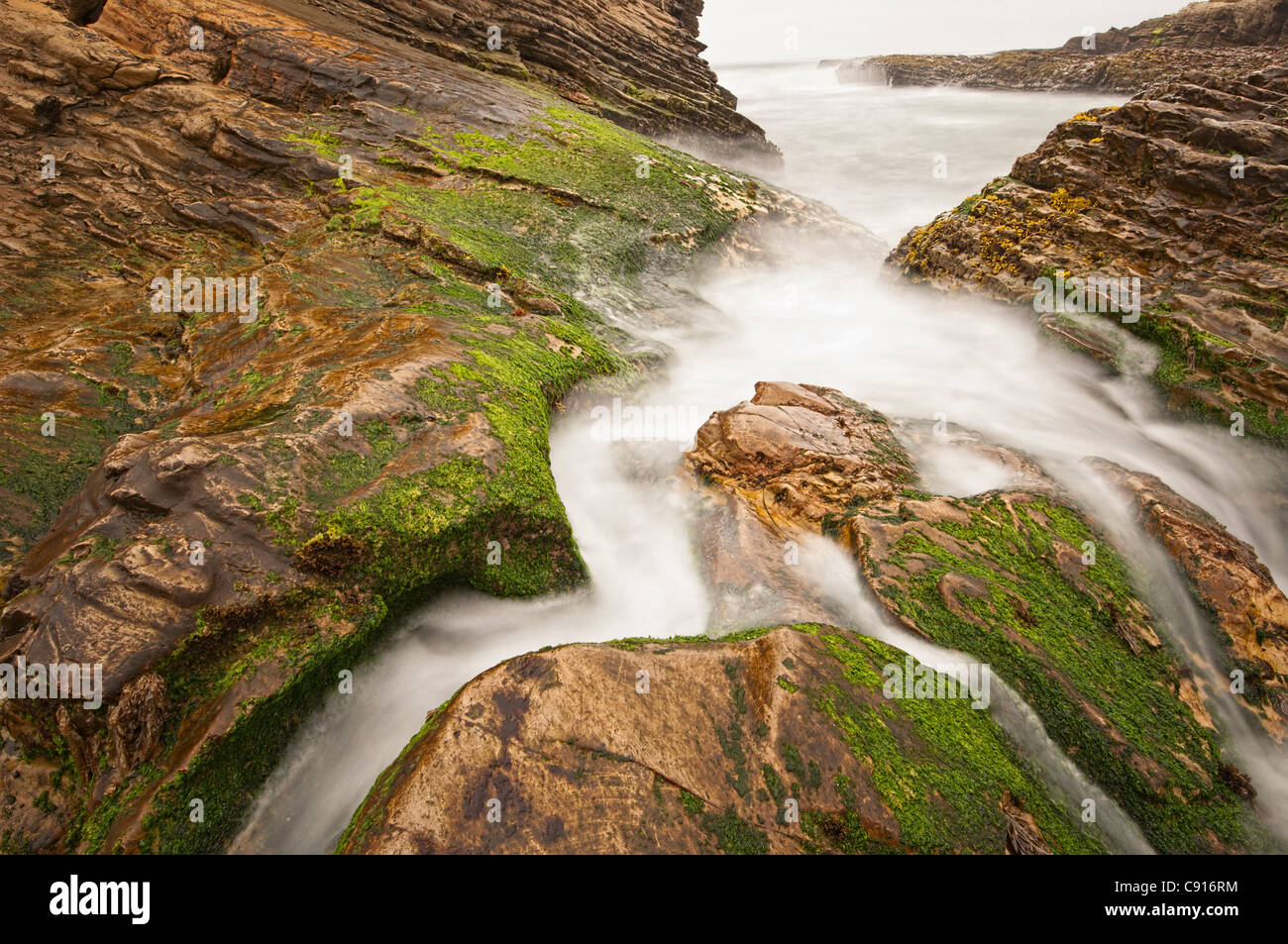 The jagged rocks and cliffs of Montana de Oro State Park in California ...